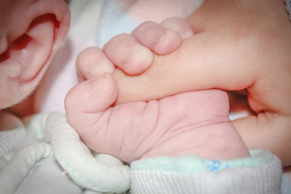 La formation BN pour qui? | Biological Nurturing